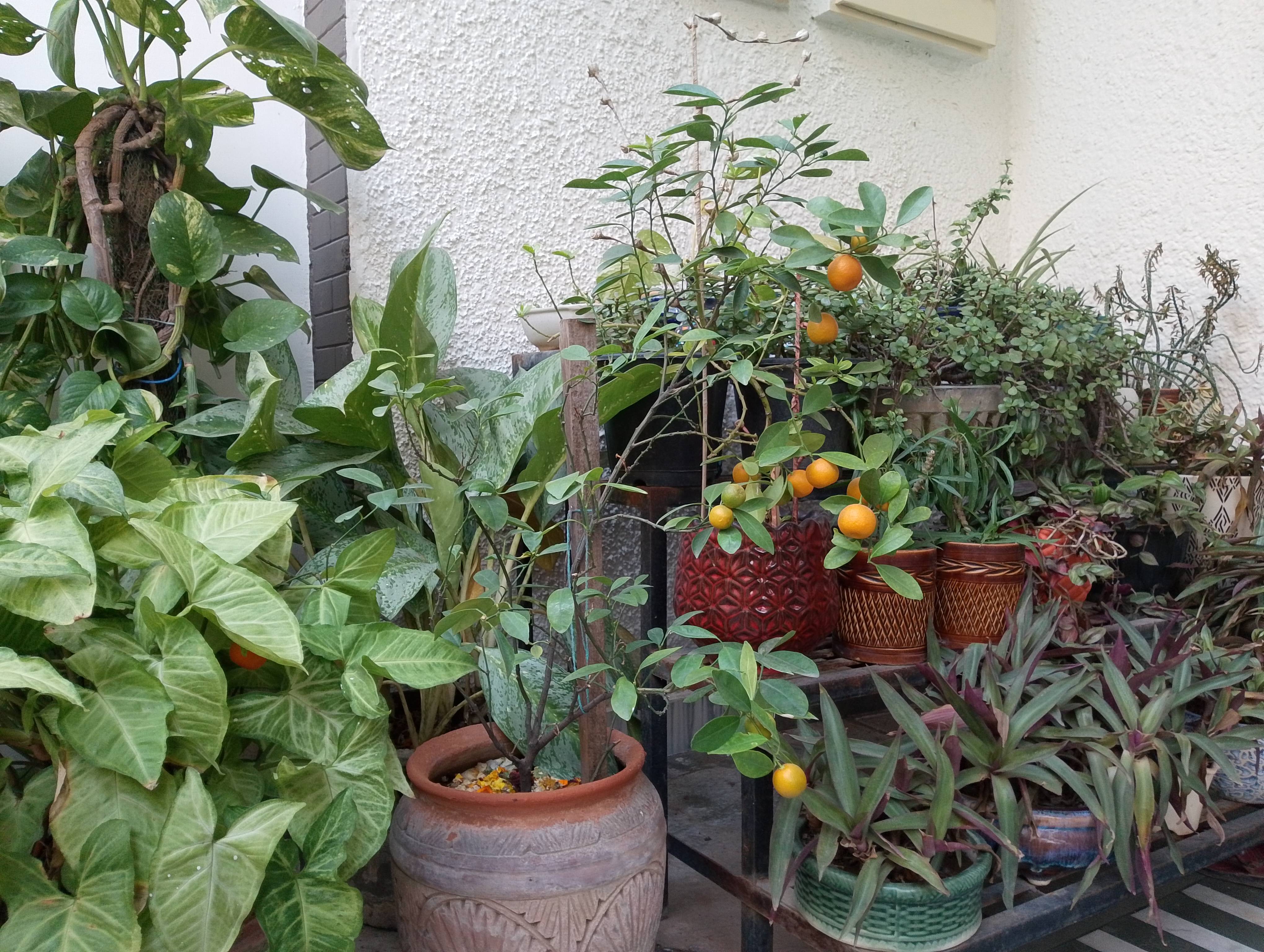 Itel P55 Plus Review - Pros and cons, Verdict | 91Mobiles