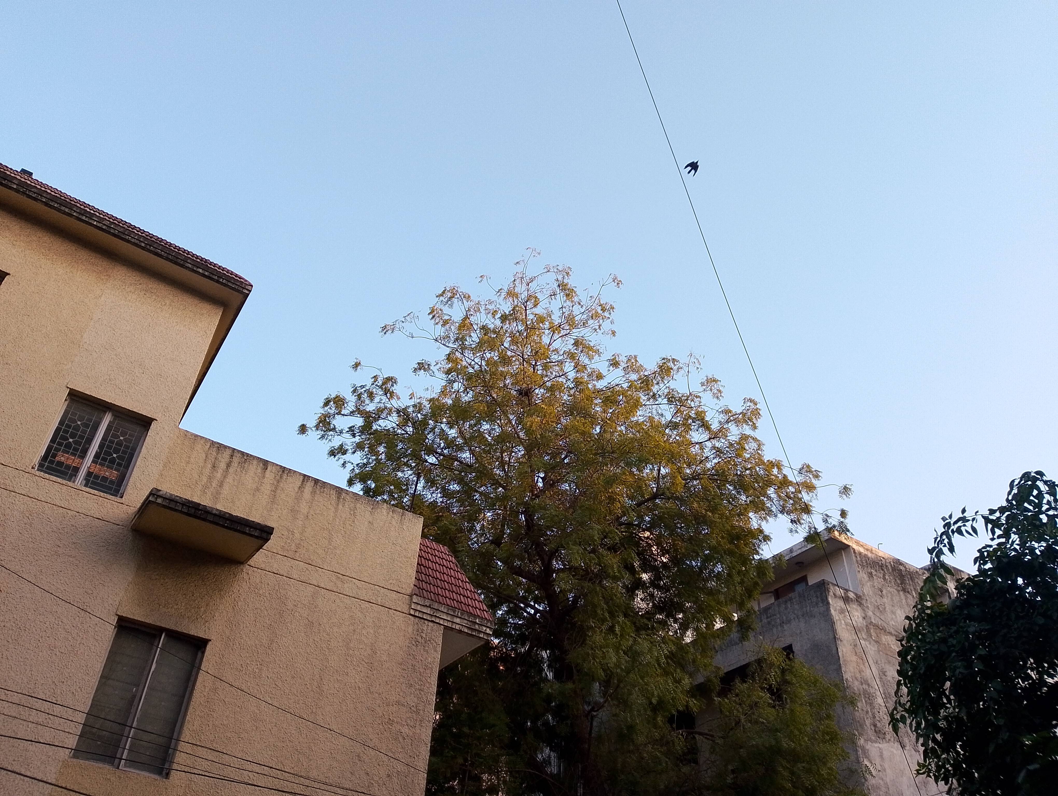 Itel P55 Plus Review - Pros and cons, Verdict | 91Mobiles