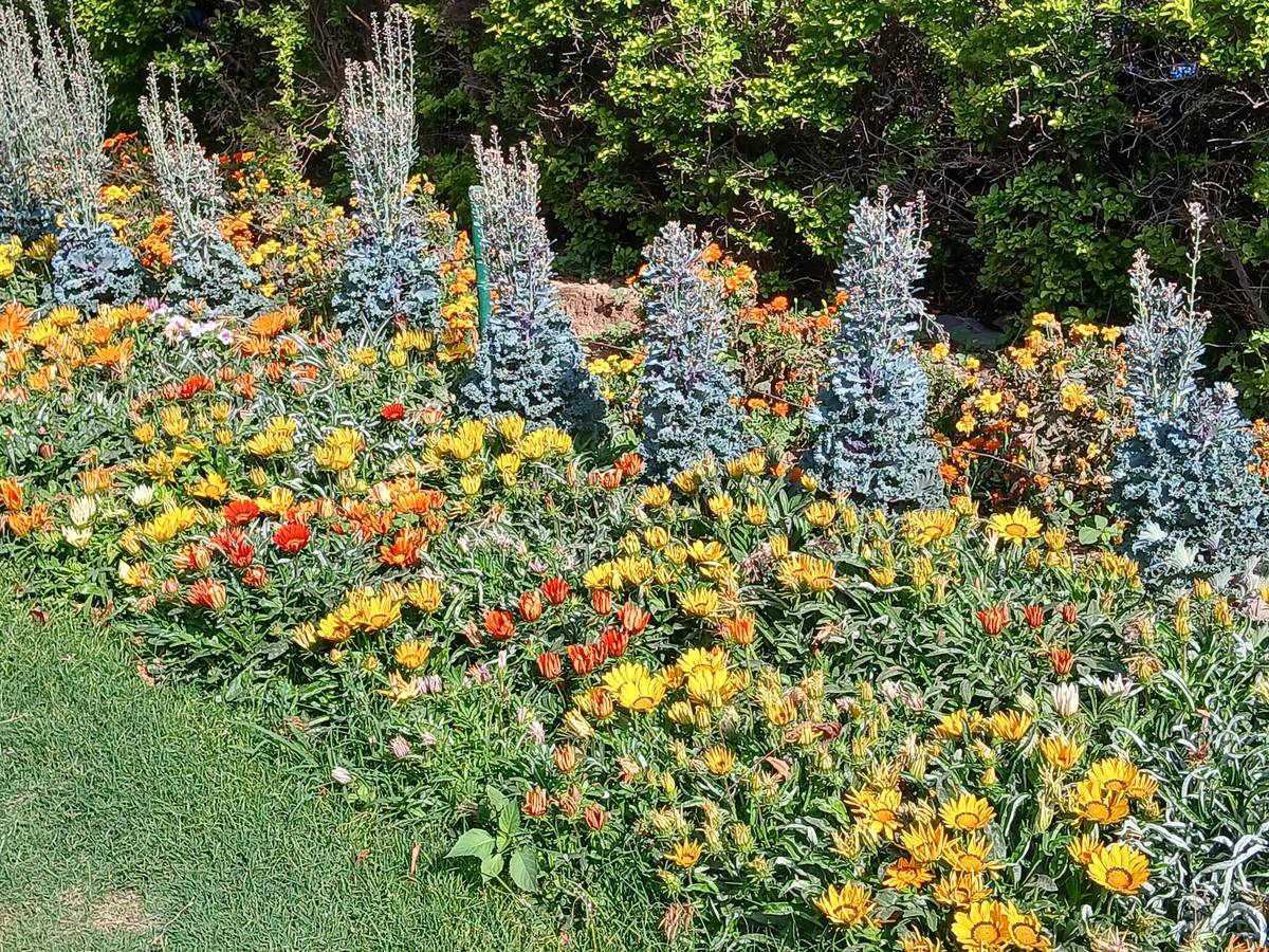 Samsung Galaxy XCover7 review: a true-blue workhorse | 91mobiles.com