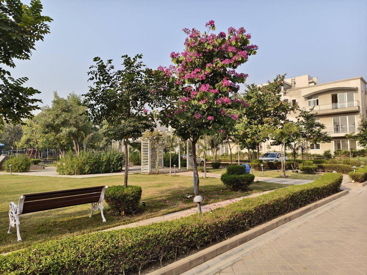 iQOO 13 5G Review - Pros and cons, Verdict | 91Mobiles