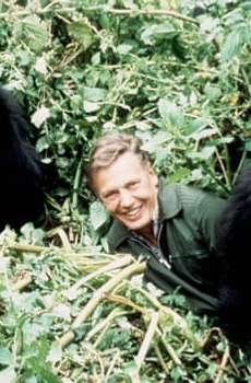 New English Hollywood Movies List (2026)